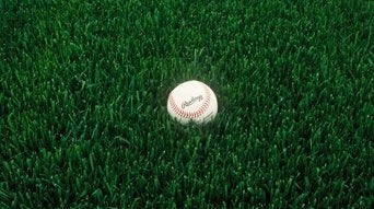 Marathon II Sod – lawnmowercornerUSA.com